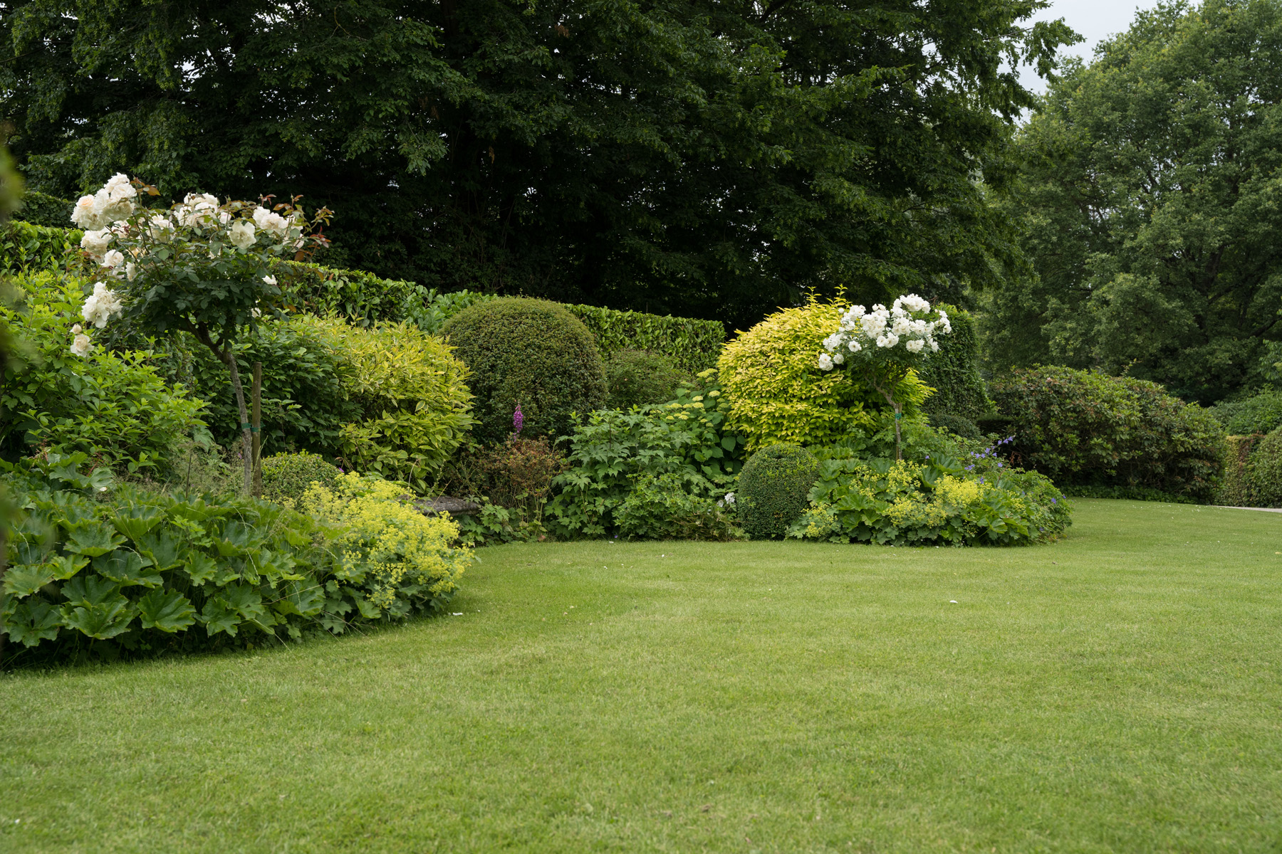 Een tuin onderhouden bij particulieren in Tervuren - Louis Lechat